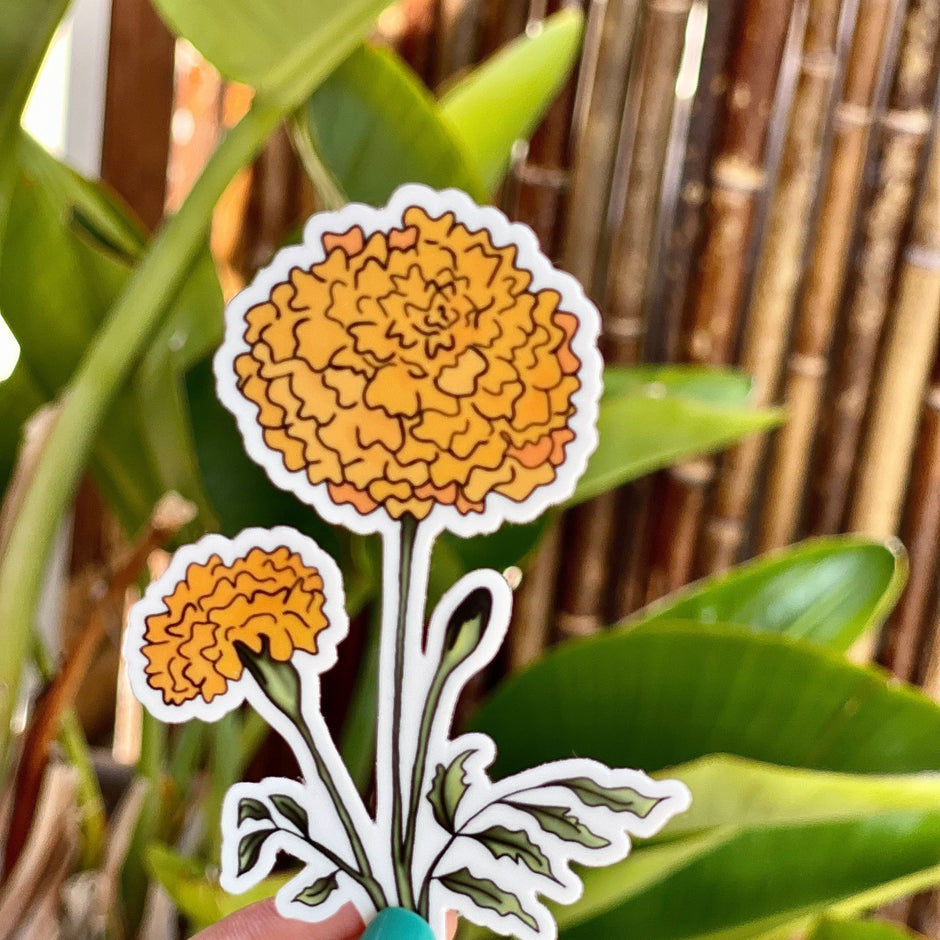 Thirst for Color - Reimagining Culture